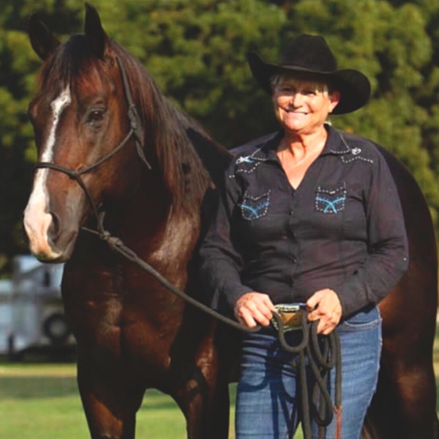 Equine - High Quality Aloe Vera Supplements for Horses | Pharm-Aloe