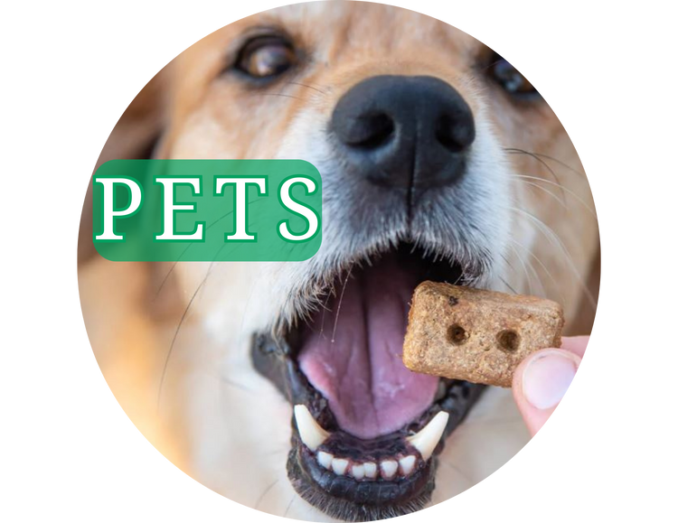 Premium Aloe Vera – Pharm-Aloe